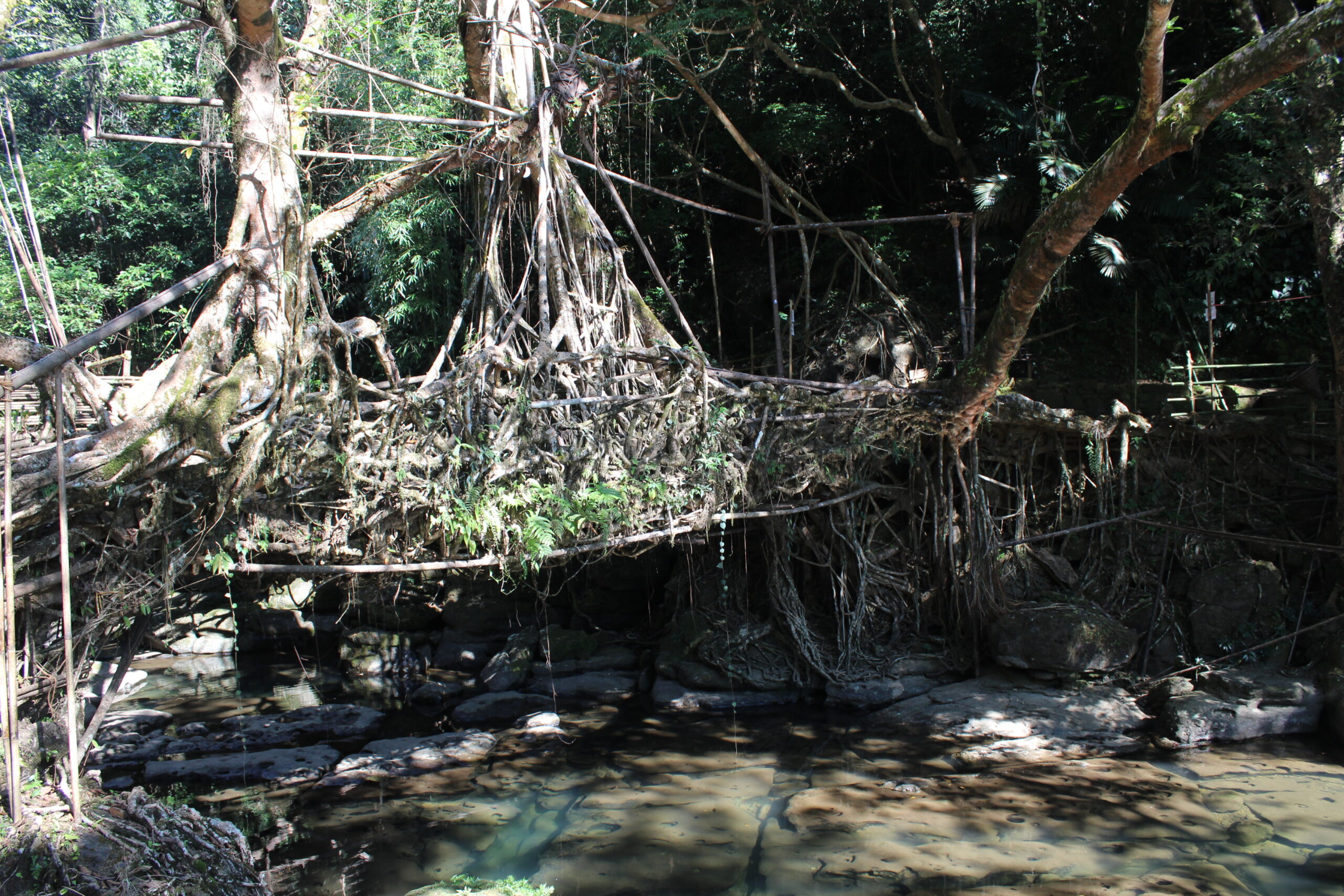 Mawlynnong: Unravelling the cleanest village - Travelyoo